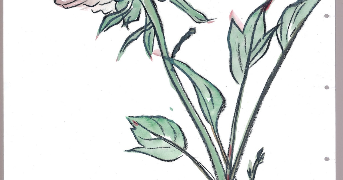 Works - LIN Chuan-Chu : 50 | Mind Set Art Center