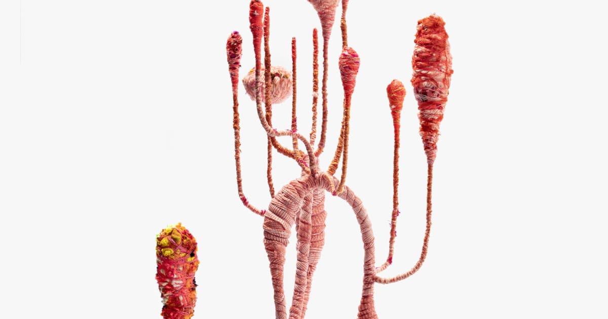 SHANE BROX | 16 August - 7 September 2024 - Overview | KANT