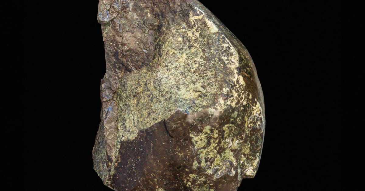 Emily Young - Publications | Willoughby Gerrish Ltd