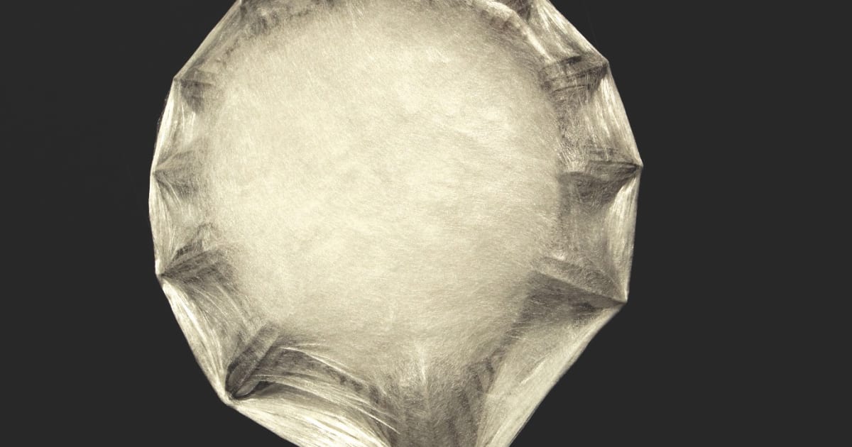 David Roux-Fouillet | Morphoses | 12 October - 12 November 2011 | Andipa