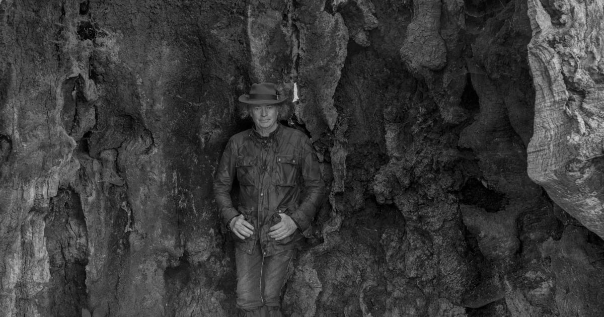 Adrian Houston - Overview | The Tree Art Gallery