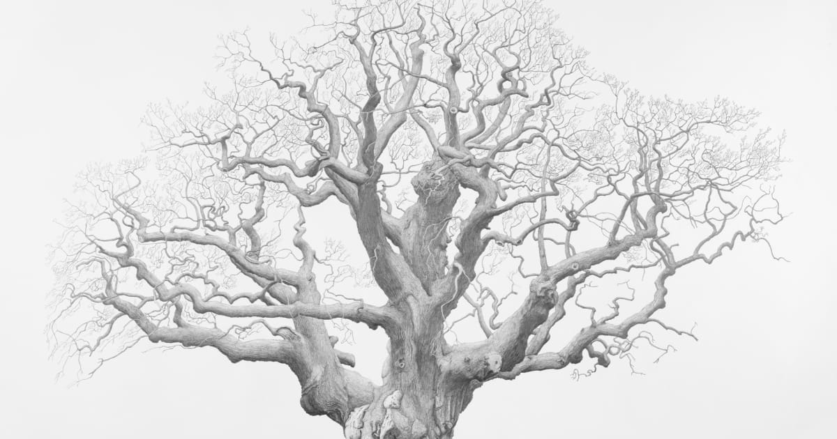 Contemporary Tree Art: The Tree Art Gallery