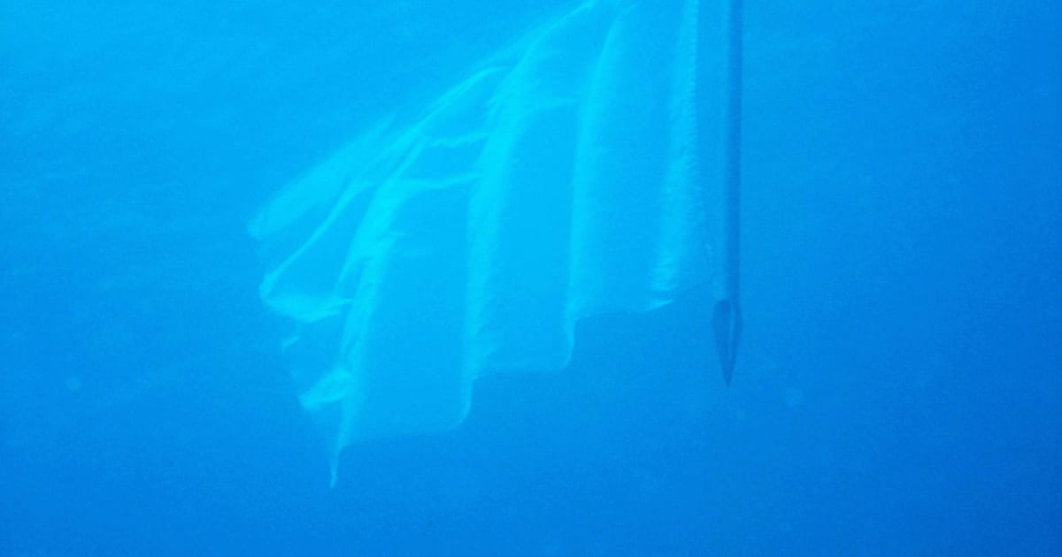 Works | WIZARD at ZONA MACO 2026 | WIZARD GALLERY