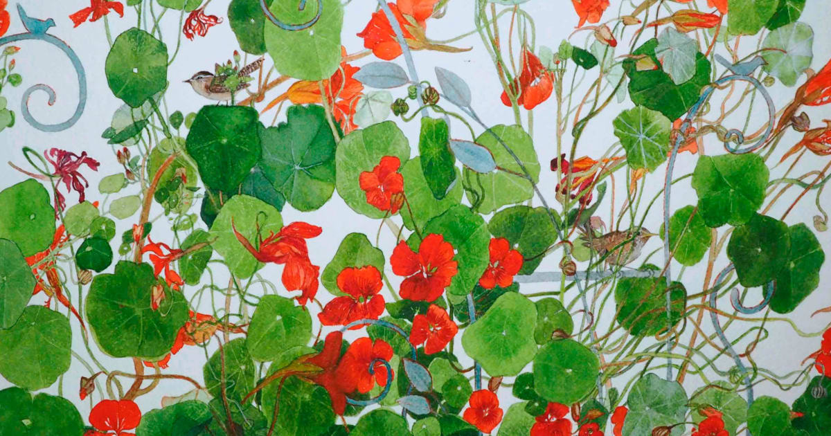 Works - Botanical : Carole Saxon | Alchemist Gallery
