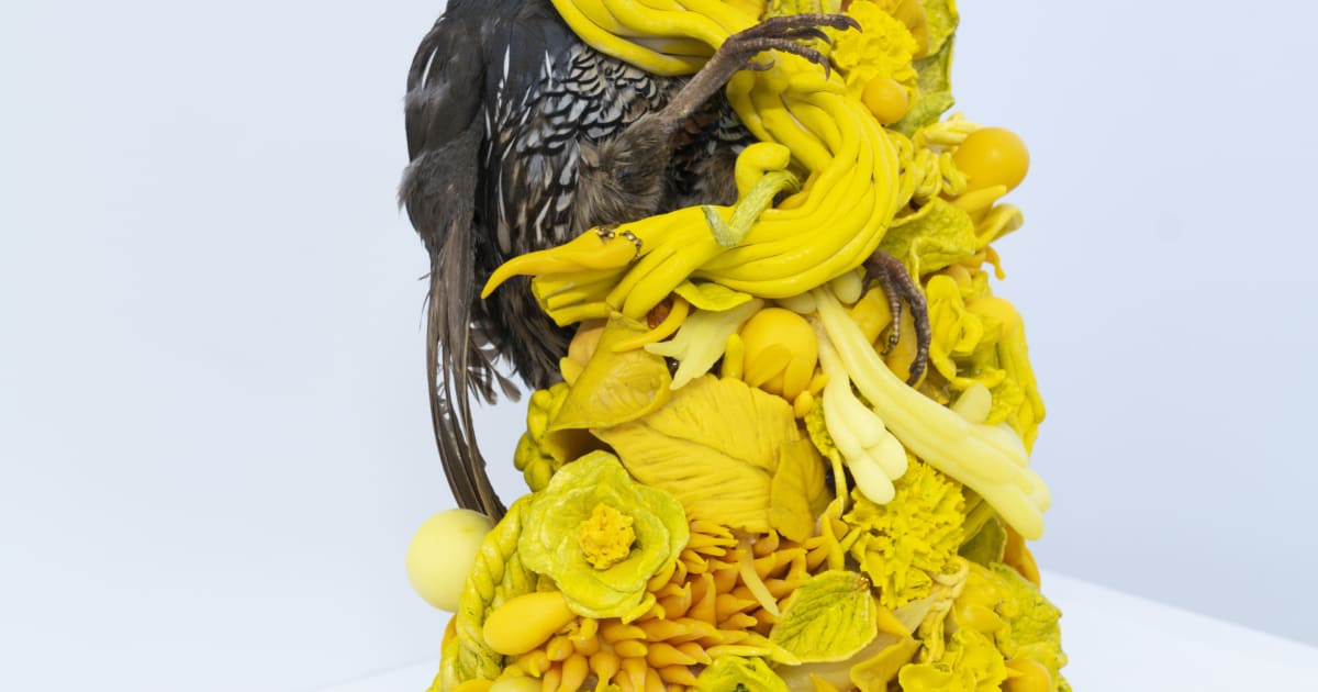 Angela Singer | {Suite} Gallery