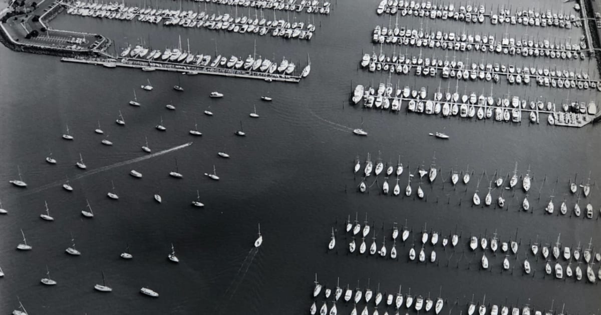 Peter Peryer | {Suite} Gallery