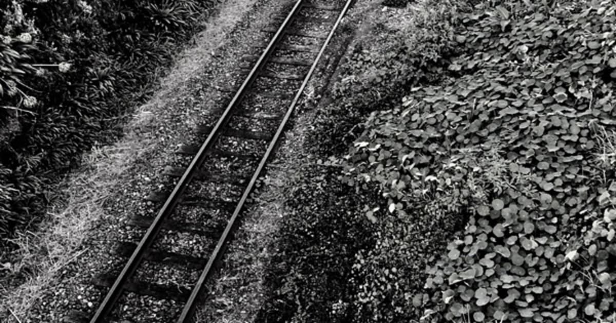 Peter Peryer | {Suite} Gallery