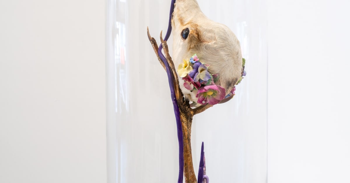 Angela Singer | Light Remains | 22 June - 4 July 2023 | {Suite} Gallery