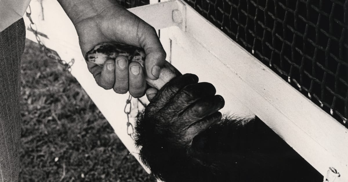 Robin Morrison | A Decade of Days Revisited | 28 April - 31 May 2025 ...