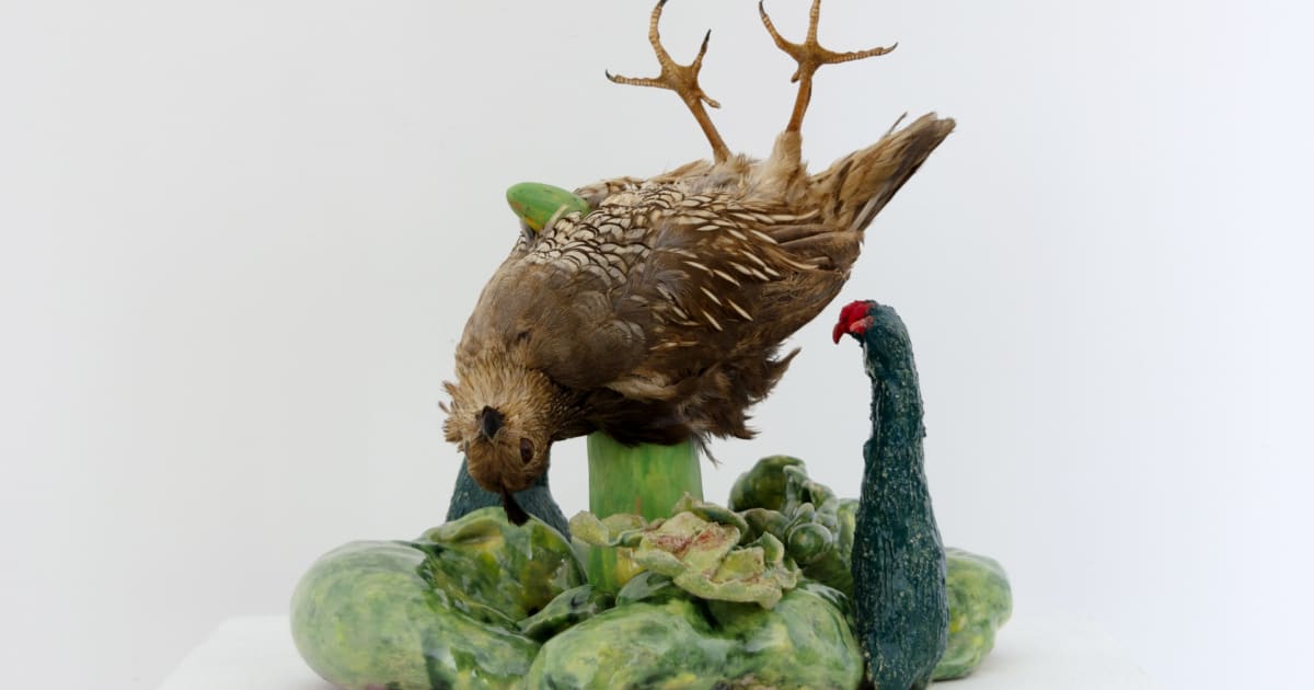 Angela Singer | Soft Star | 20 August - 7 September 2024 | {Suite} Gallery