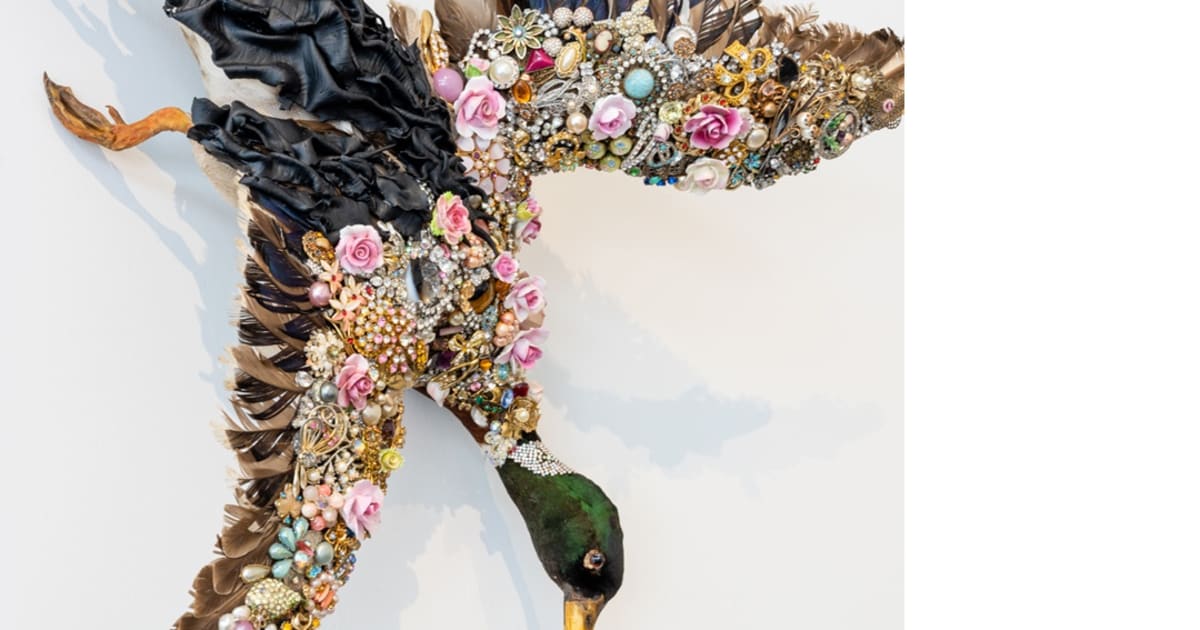 Angela Singer | {Suite} Gallery