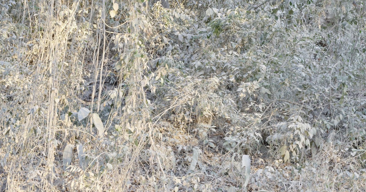 Artworks | Michael Gaillard