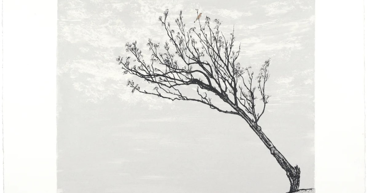 Frances Walker - Works | Tatha Gallery