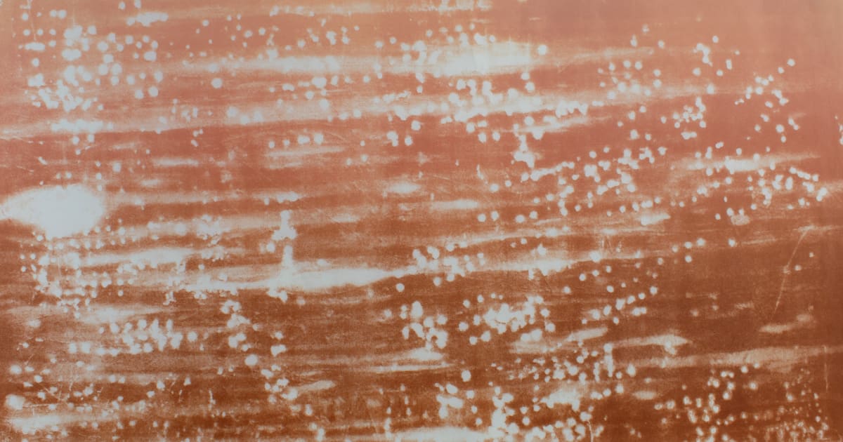 Jean Gillespie - Biography | Tatha Gallery