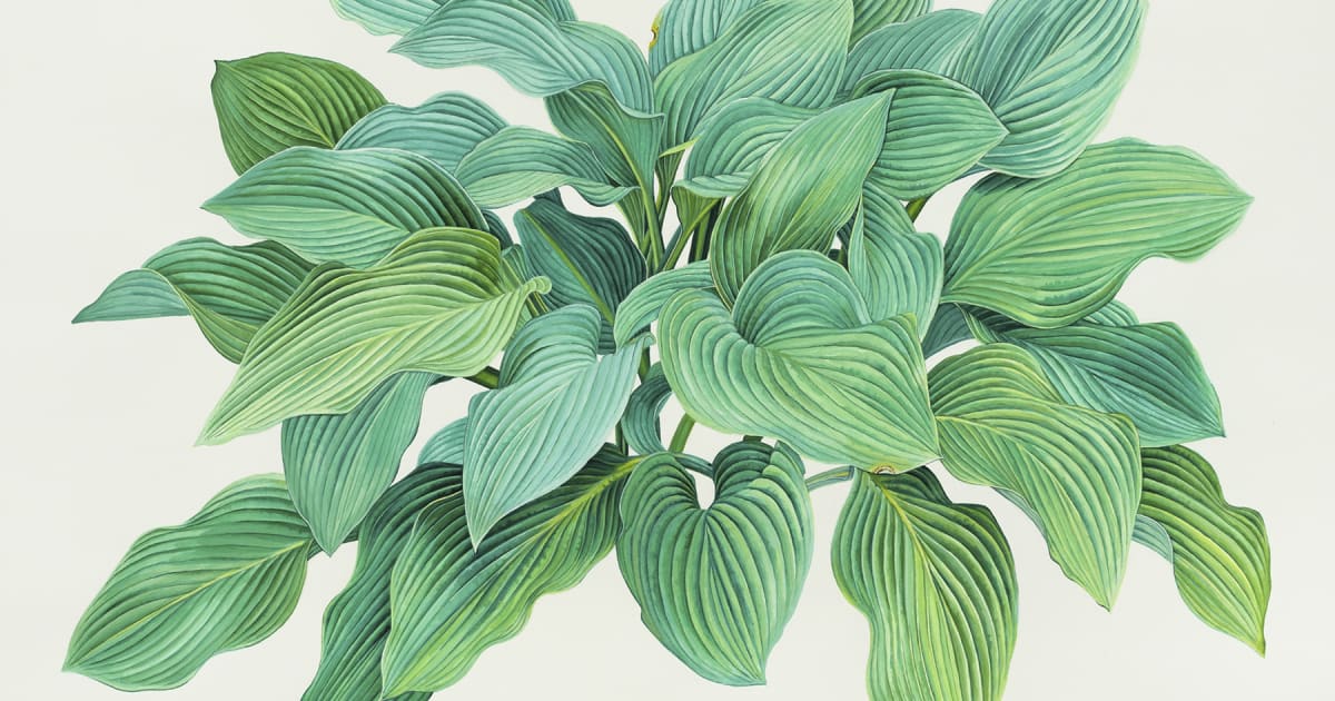 Jessica Rohrer | David Klein Gallery