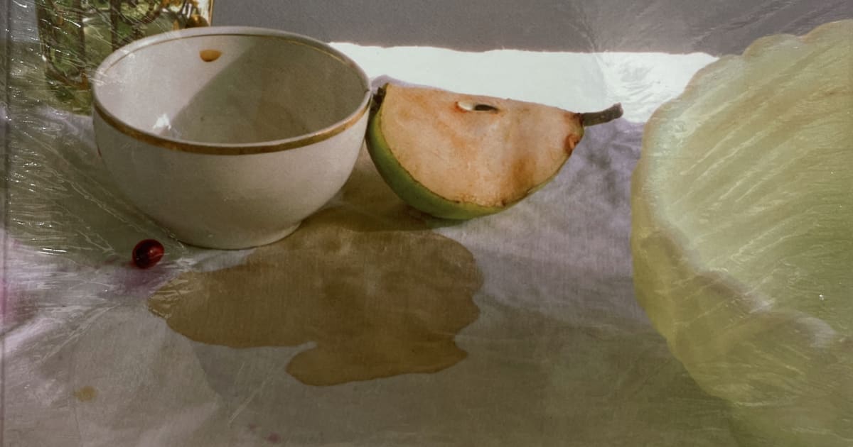 Publication: Now Again - Laura Letinsky | Robert Klein Gallery