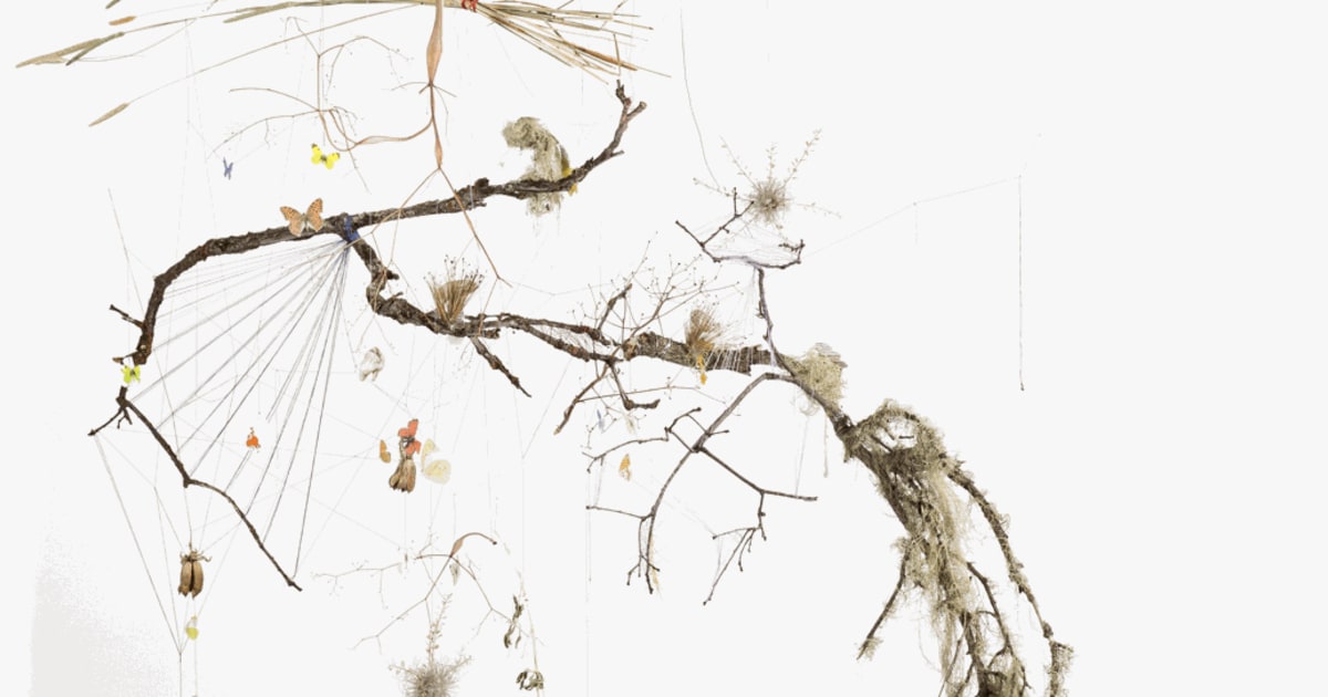 Rachel Wolf - Biography | Palo Gallery