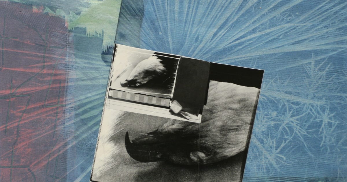 John Wood - Overview | Bruce Silverstein