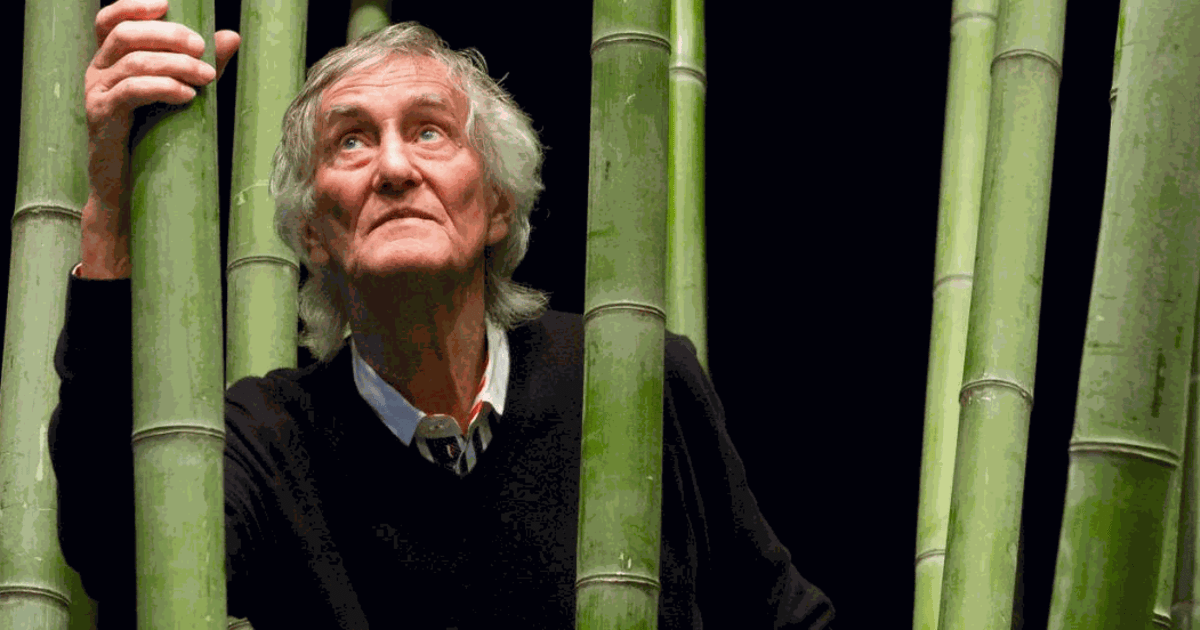 NILS-UDO | Art for the Planet