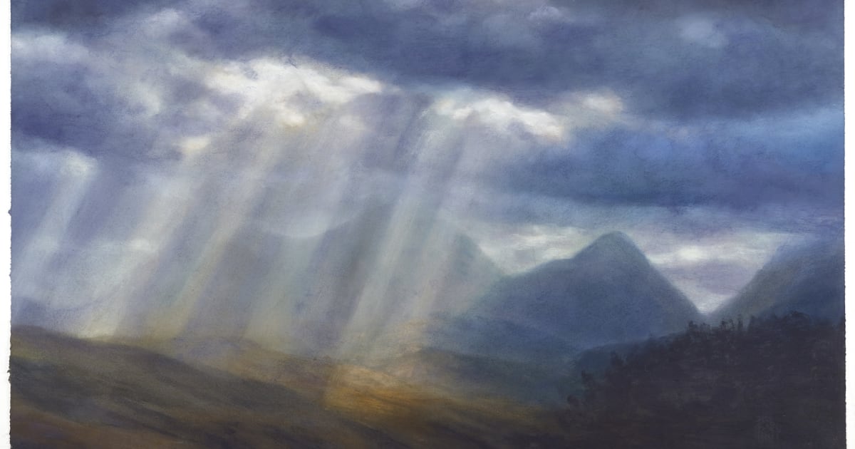 Matthew Draper | 6 - 24 June 2023 | Thompson's Gallery