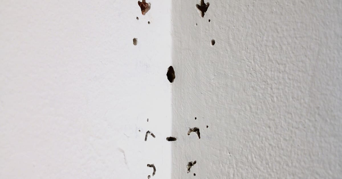 Rina Lam Goldfield - Bibliography | Yale School of Art Thesis Exhibitions