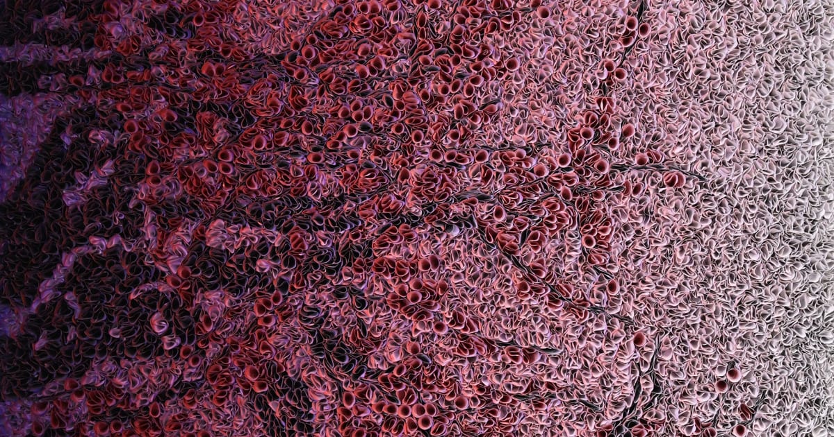 Zhuang Hong-Yi | Spectral Serenade | 17 Octobre - 4 Novembre 2024 ...