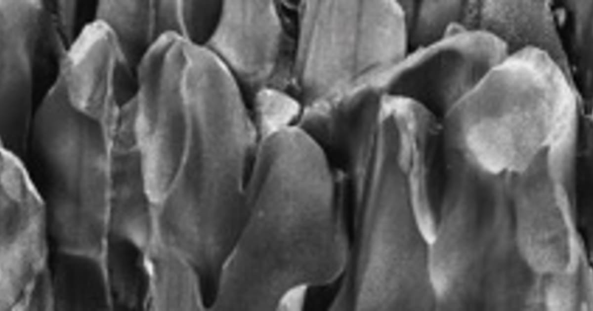 Jason Poole - Overview | Aurelia Gallery