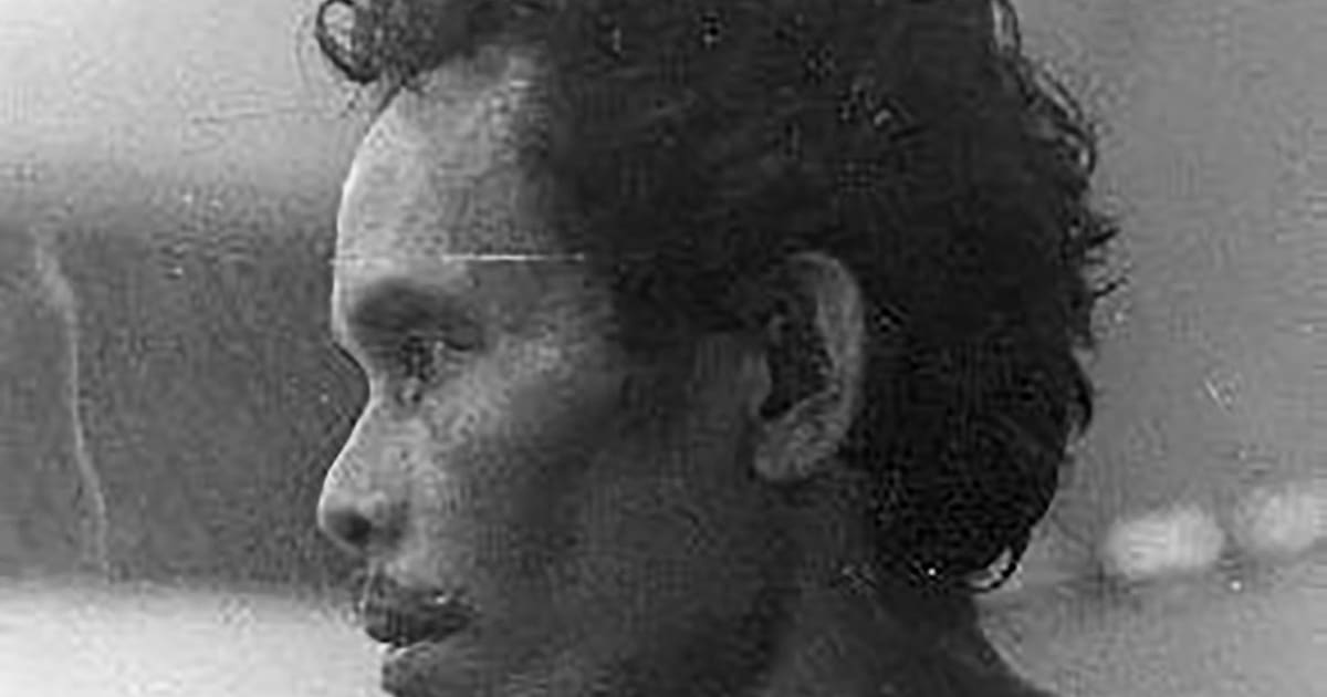 Nashar - Overview | Art Agenda