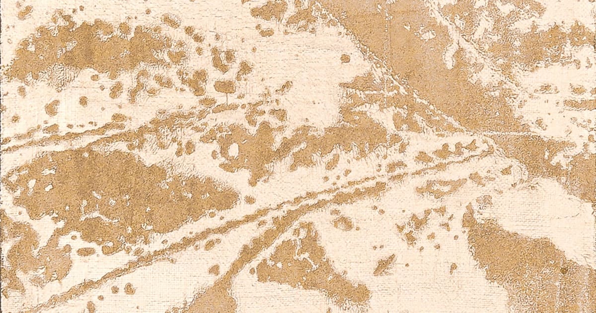 Works - Distorted | Gene Gallery