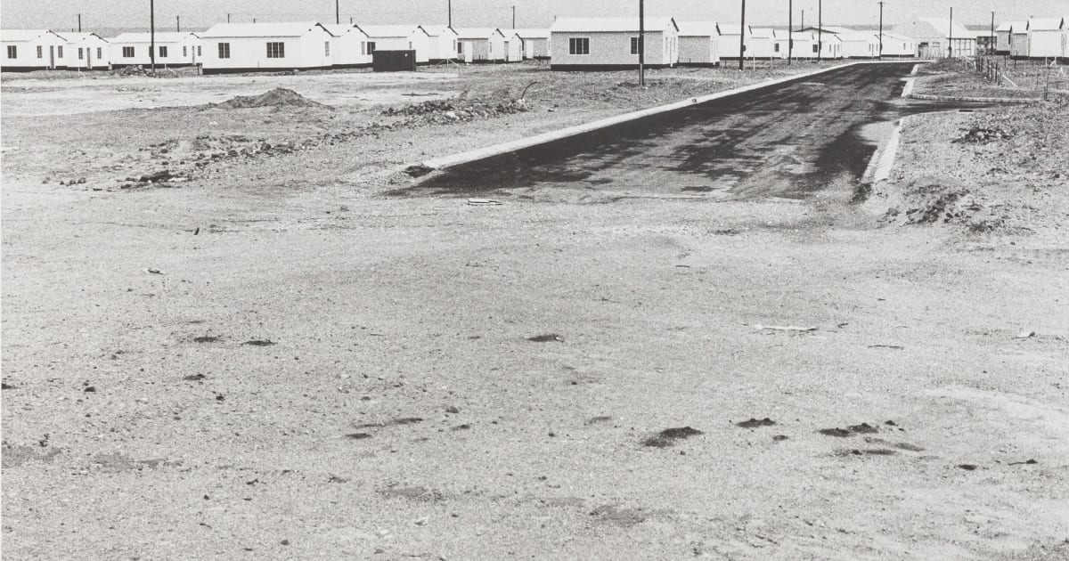 Roger Palmer - Biography | The Hyman Collection