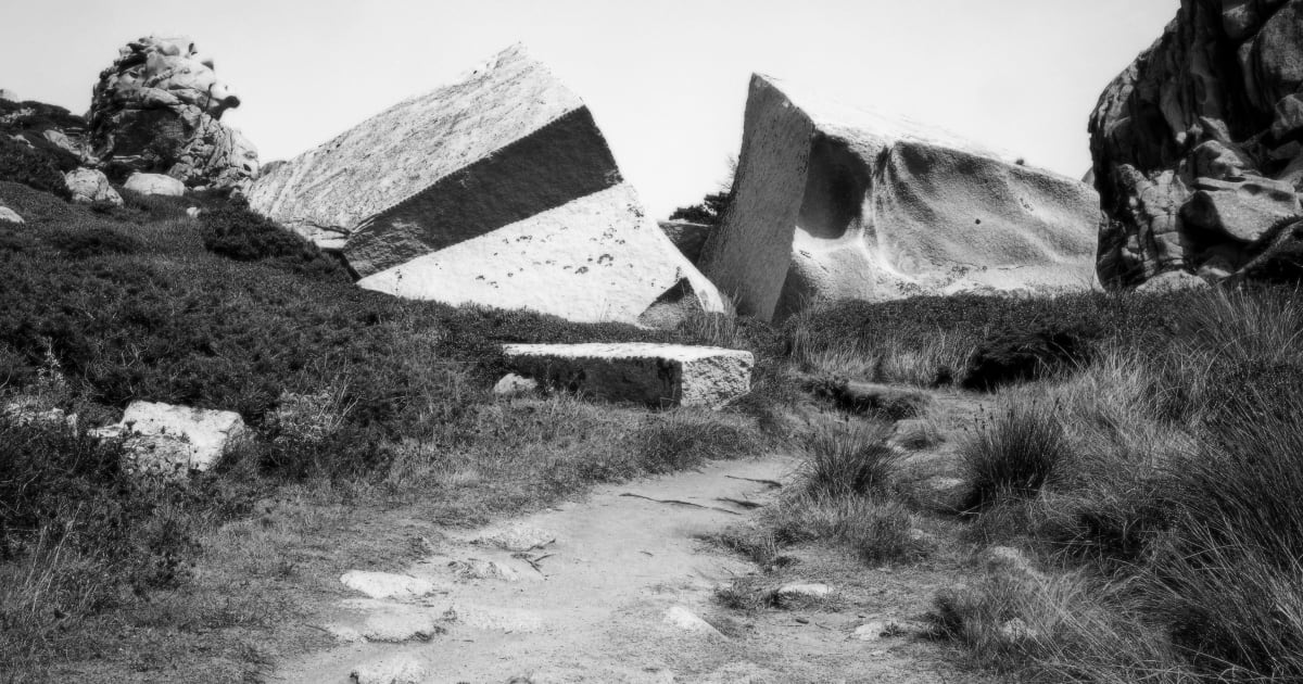 Geert Goiris - Overview | Fred&Ferry