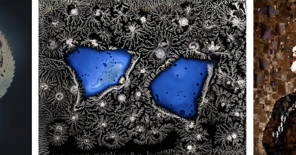 Shadow Passes, Light Remains | January 13 - February 24, 2024 | Lisa ...