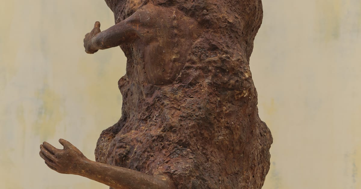 A Forest of Remembrance | 11 November - 27 December 2025 - Overview ...