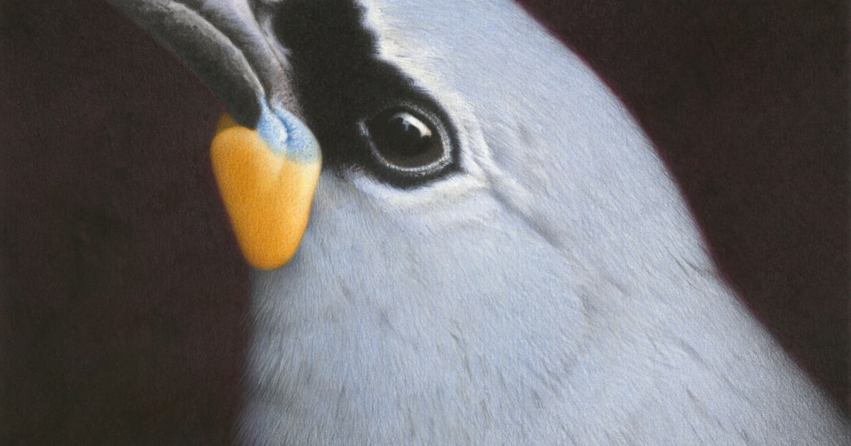 Paul Martinson - Overview | Sanderson Contemporary