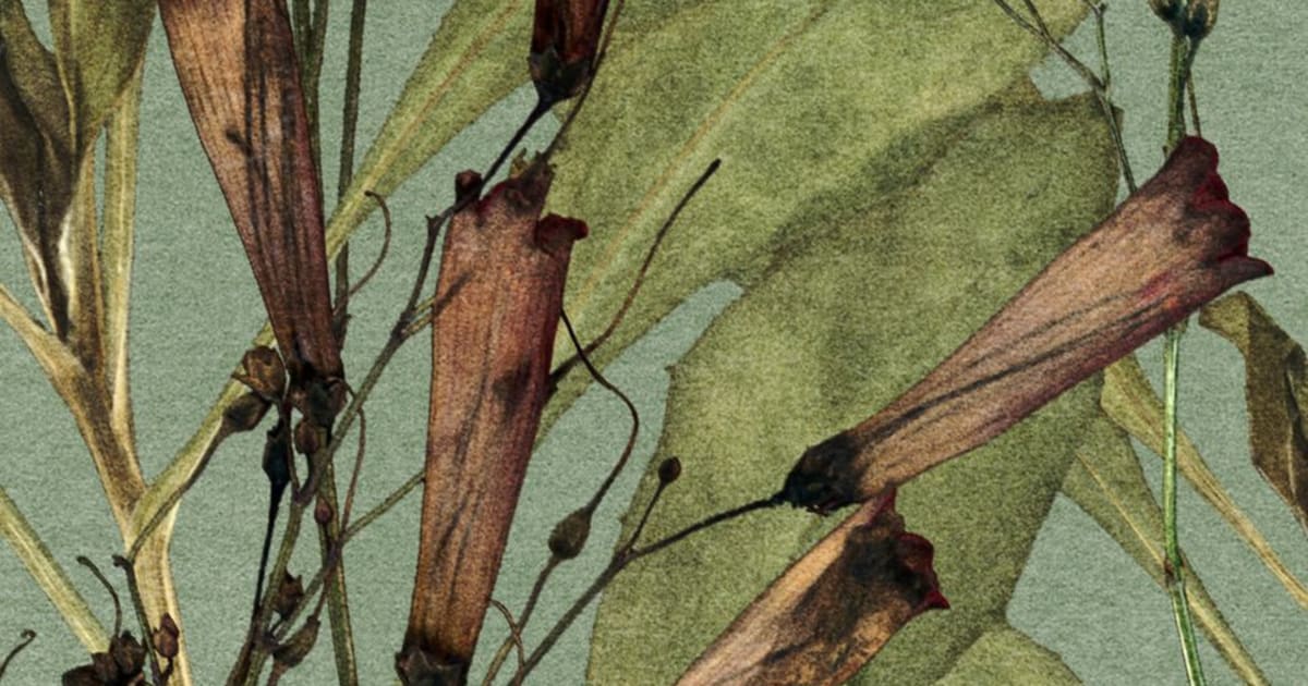 FLORE - Overview | IN-DEPENDANCE