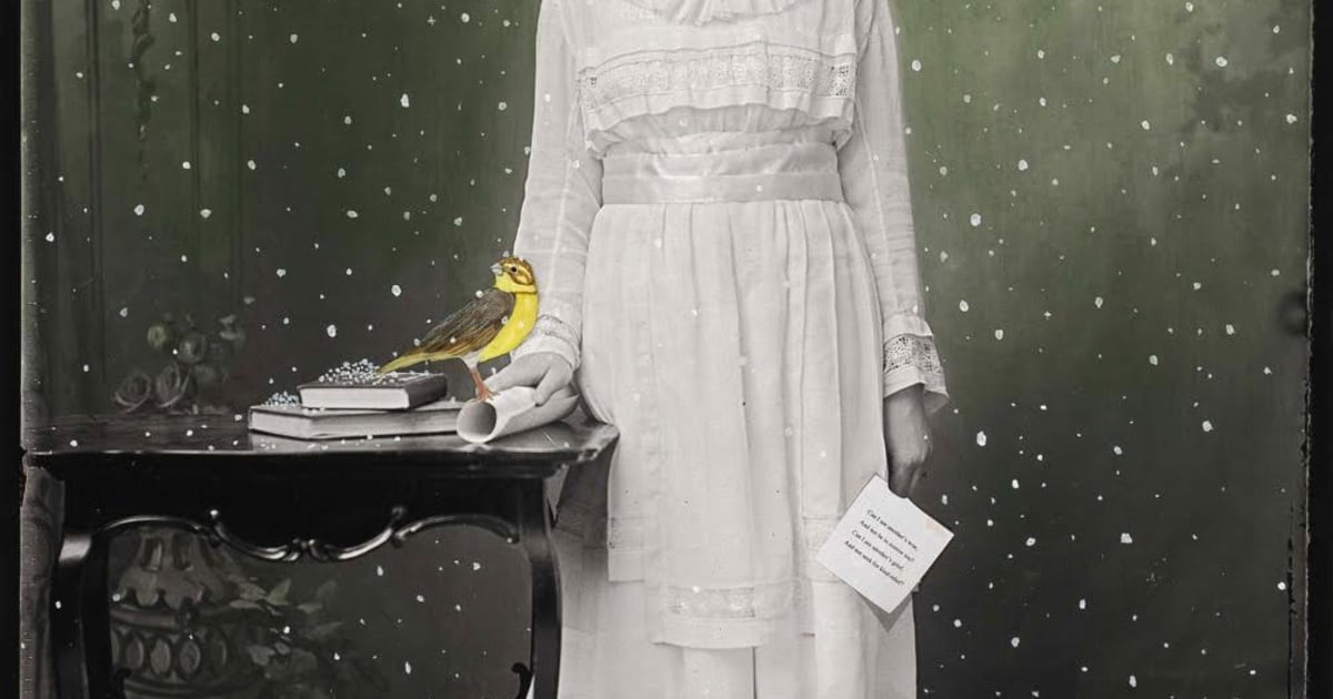 ALEXANDRA ELDRIDGE - Overview | NoonPowell Fine Art