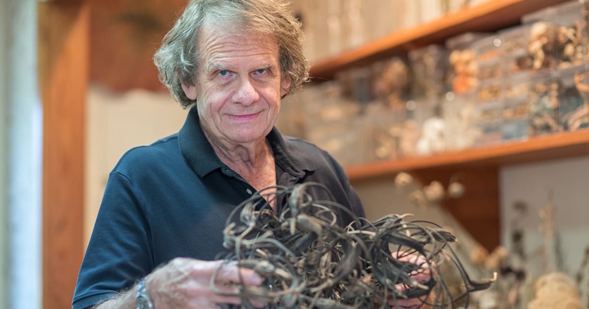 Robert Llewellyn - Biography | Bond Millen Gallery