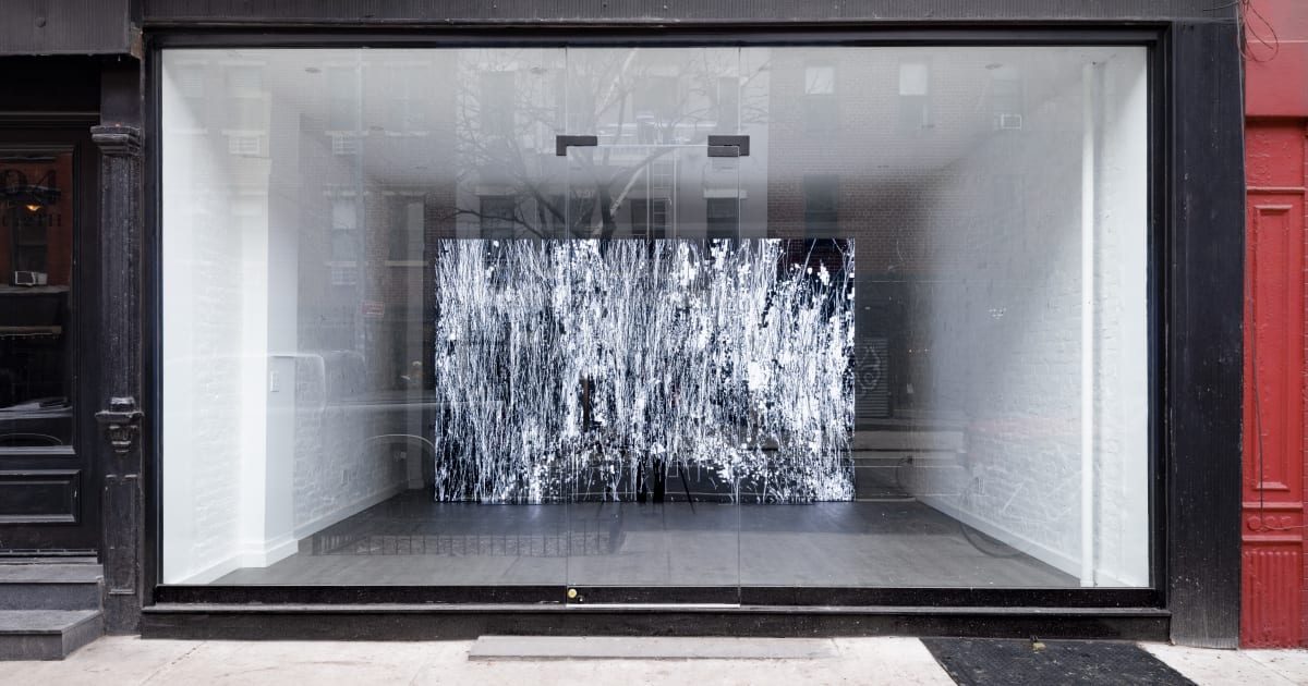 Infinite Garden | 17 March - 2 May 2025 - Overview | Nguyen Wahed