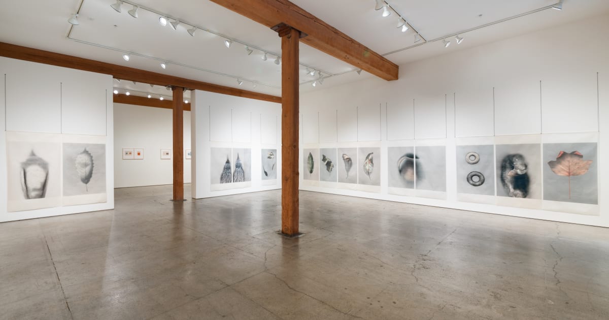 Ann Hamilton | Nov 3 - Dec 30, 2022 | Elizabeth Leach Gallery