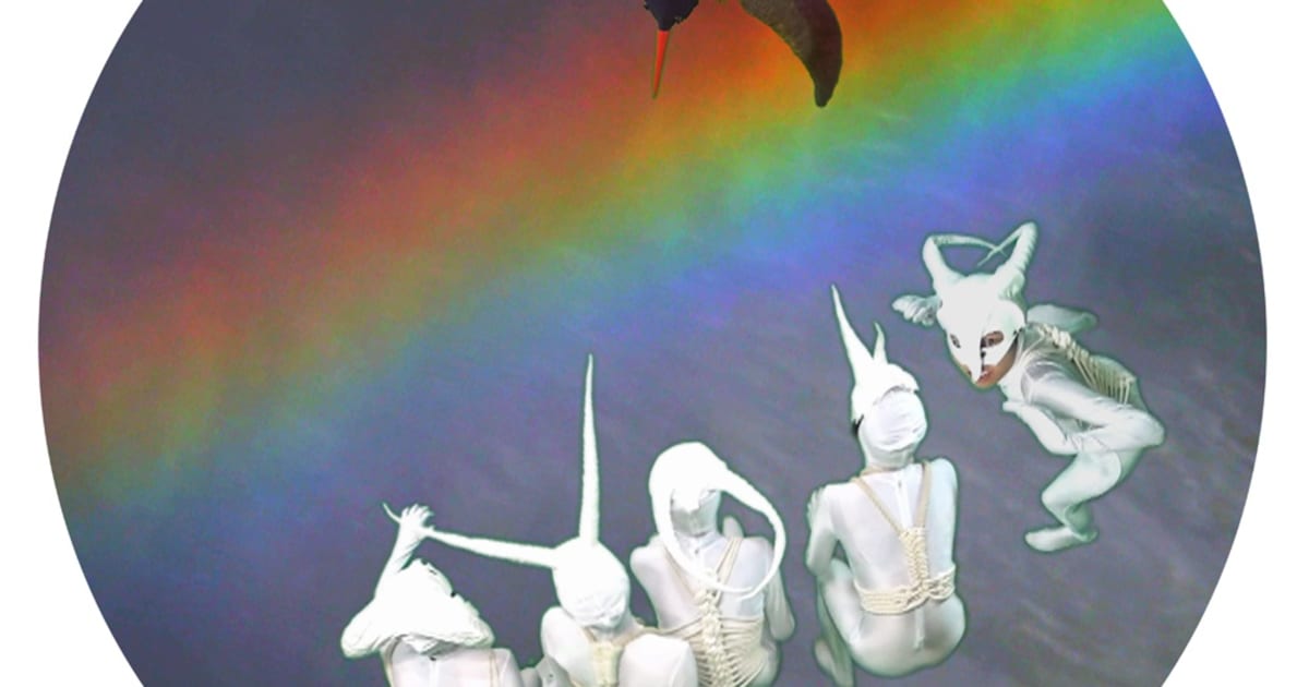 Vuela Vuela - Installation Views | C24 Gallery