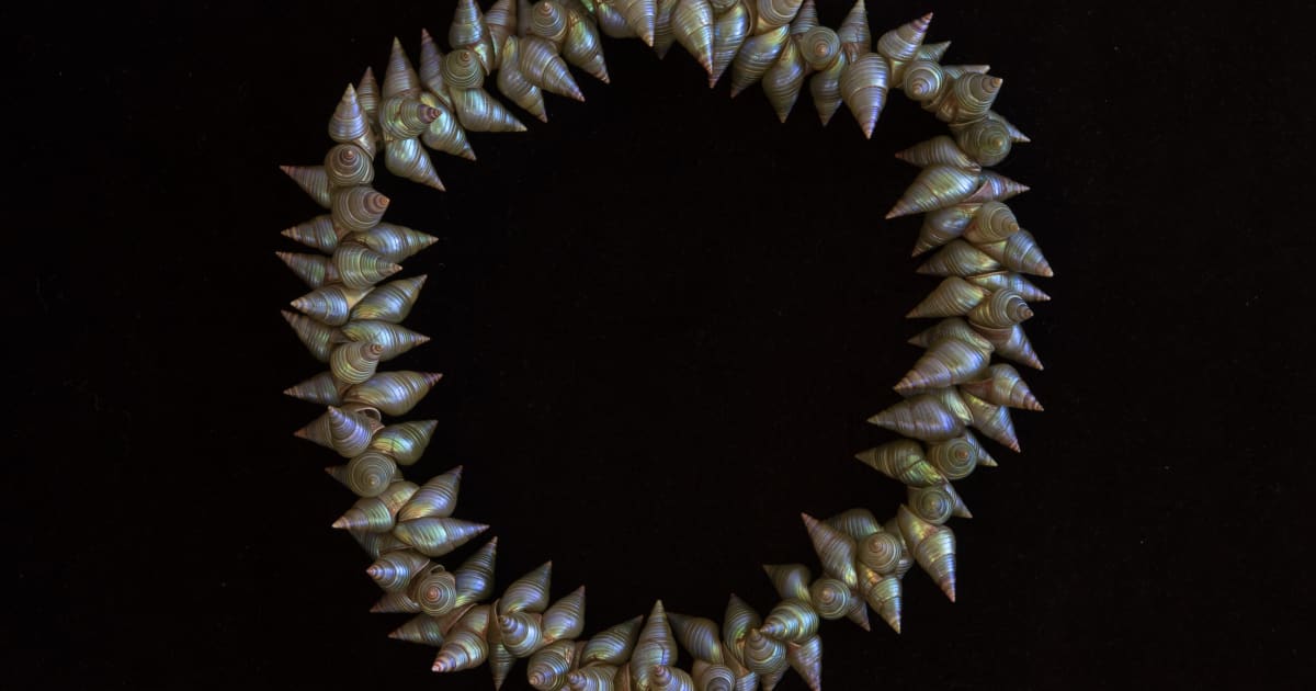 Ashlee Murray - Overview | Bett Gallery