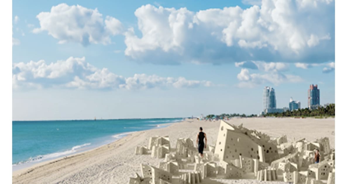 Star Compass, Miami Reef Star, 2024 conceptual Carlos Betancourt and ...