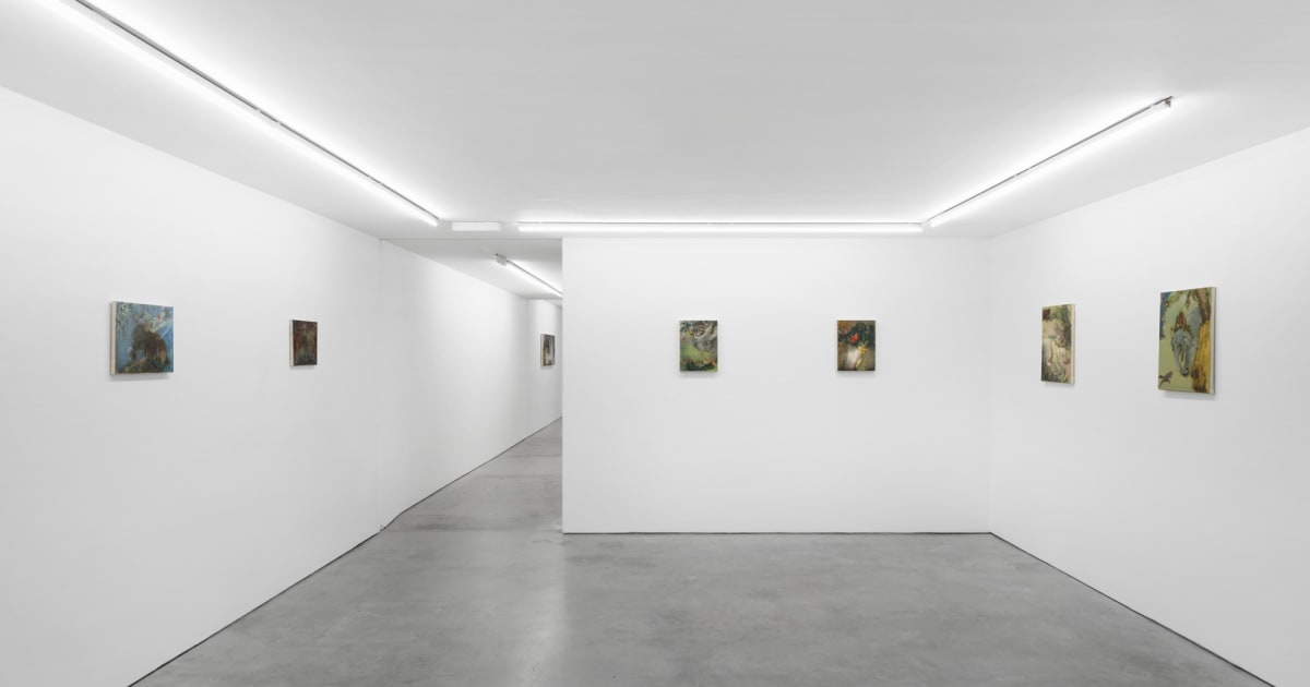 searching the mountains | 12 September - 5 October 2024 | Cob Gallery