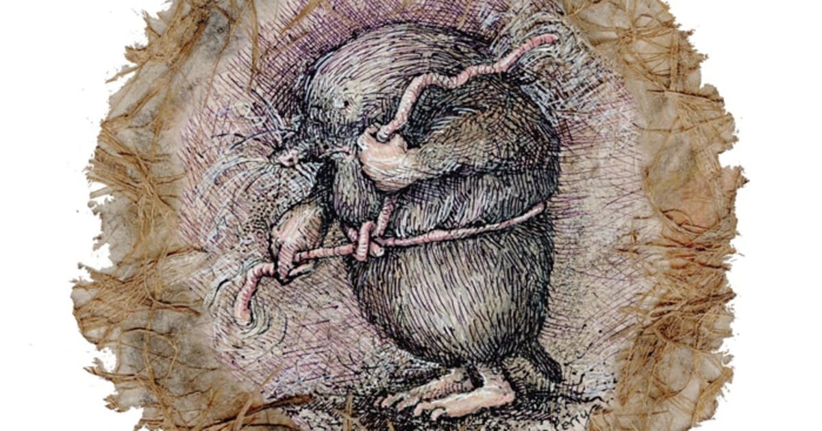 Jessica Perry - Overview | Contemporary and Country