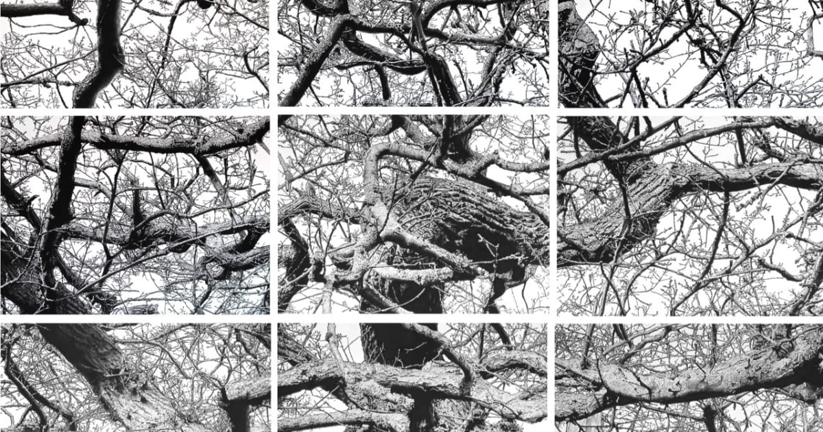 Mike Dodd - Works | Contemporary and Country