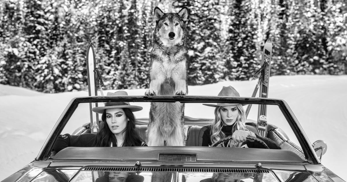 ARTIST TALK AND BOOK SIGNING WITH DAVID YARROW | January 4, 2026 ...