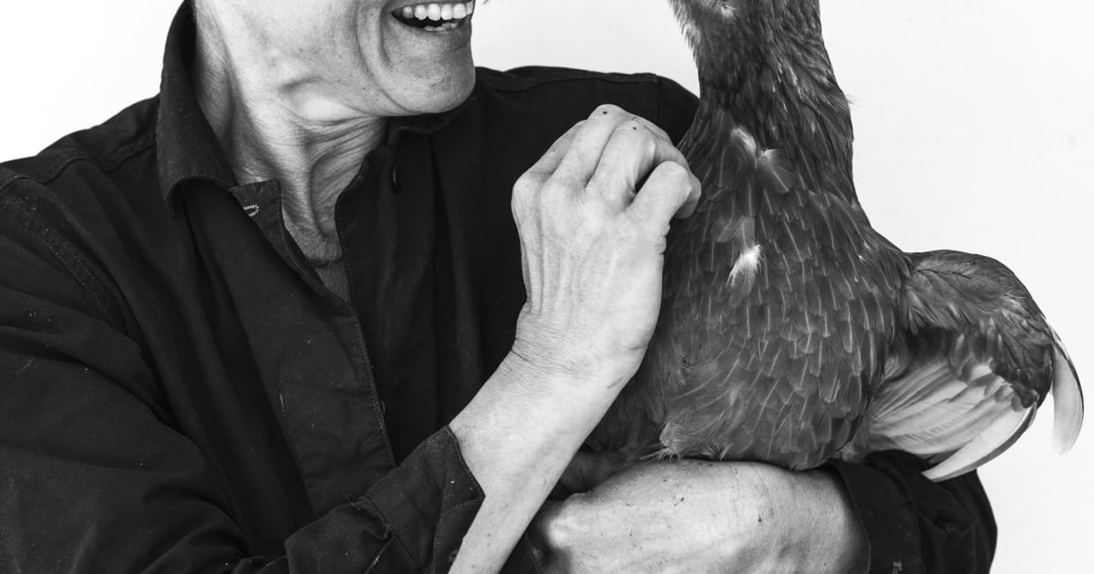 Kate Boxer - Biography | Cricket Fine Art