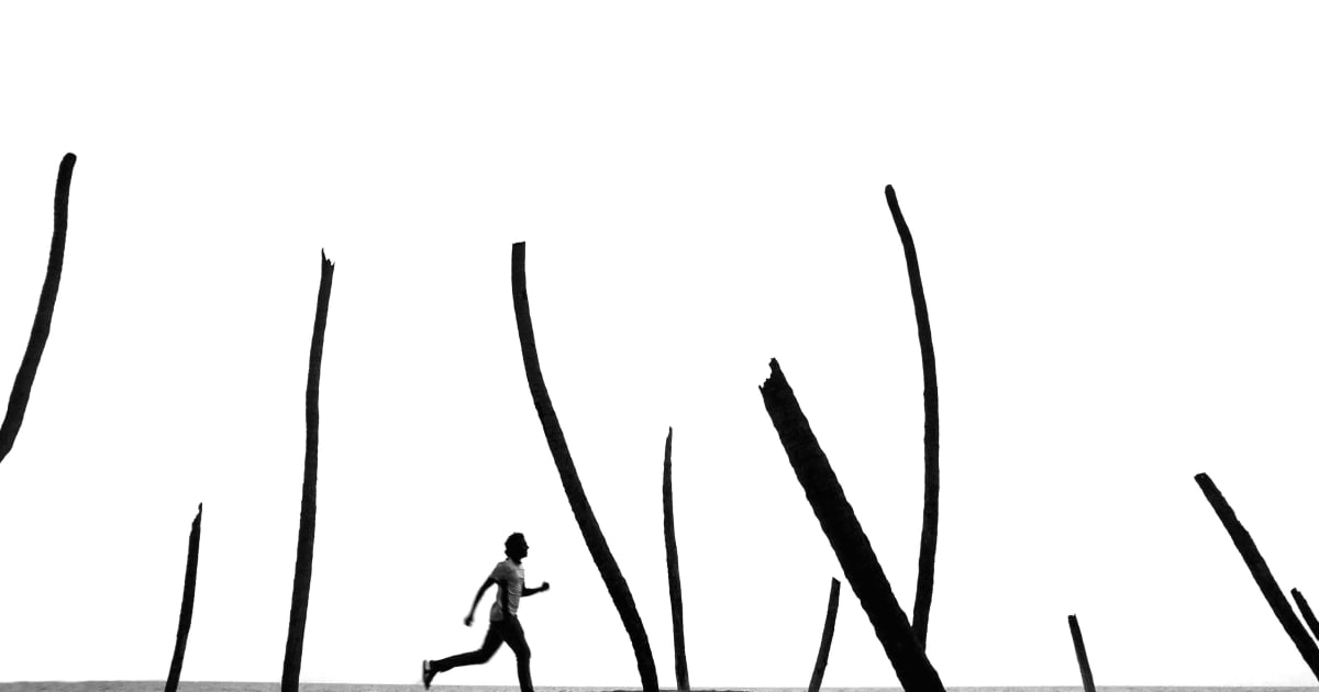 Headless Trees | Dimpy Bhalotia