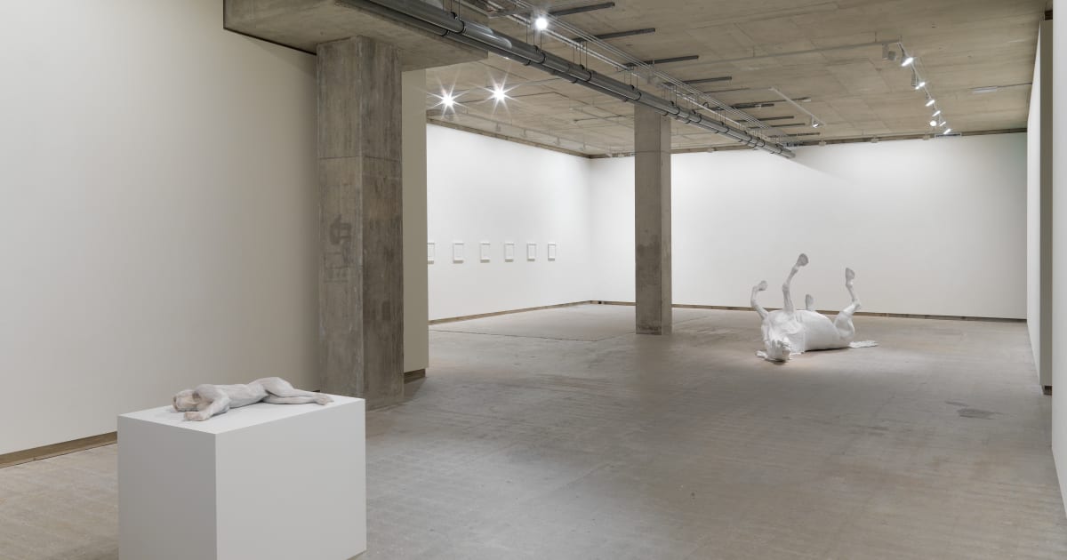 daphne wright primate