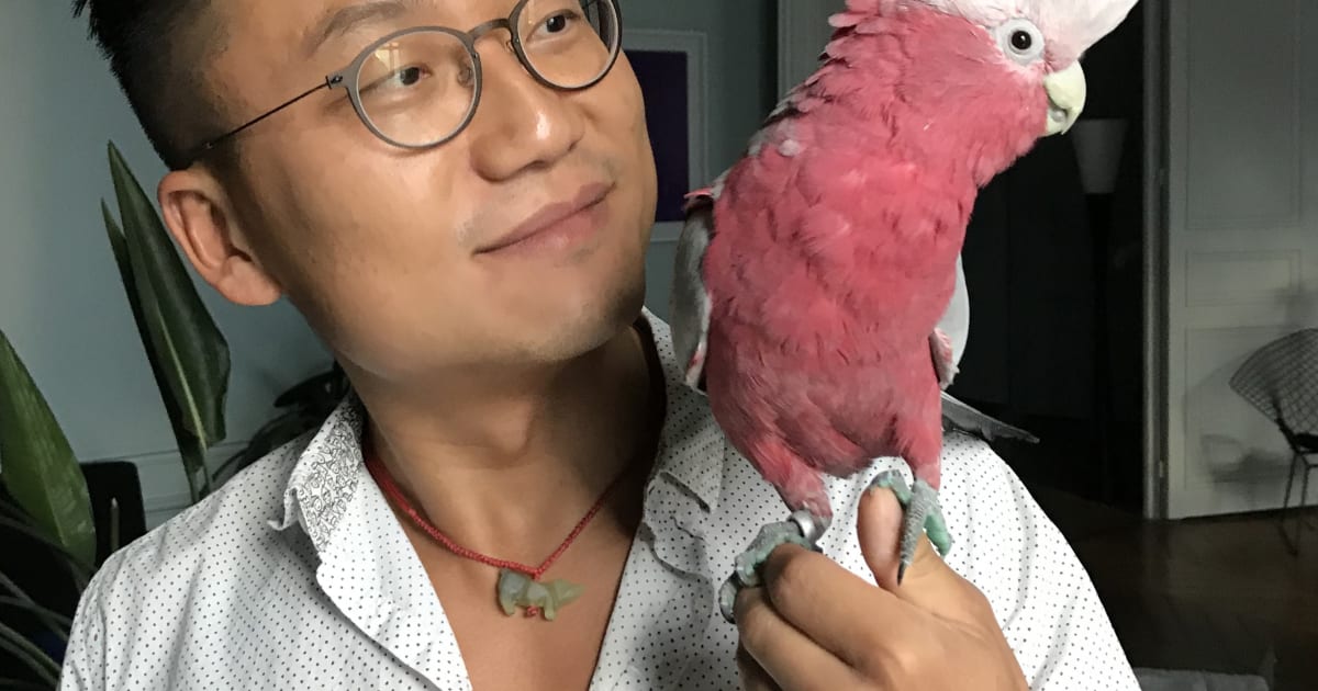 Xie Lei | Galerie Marguo